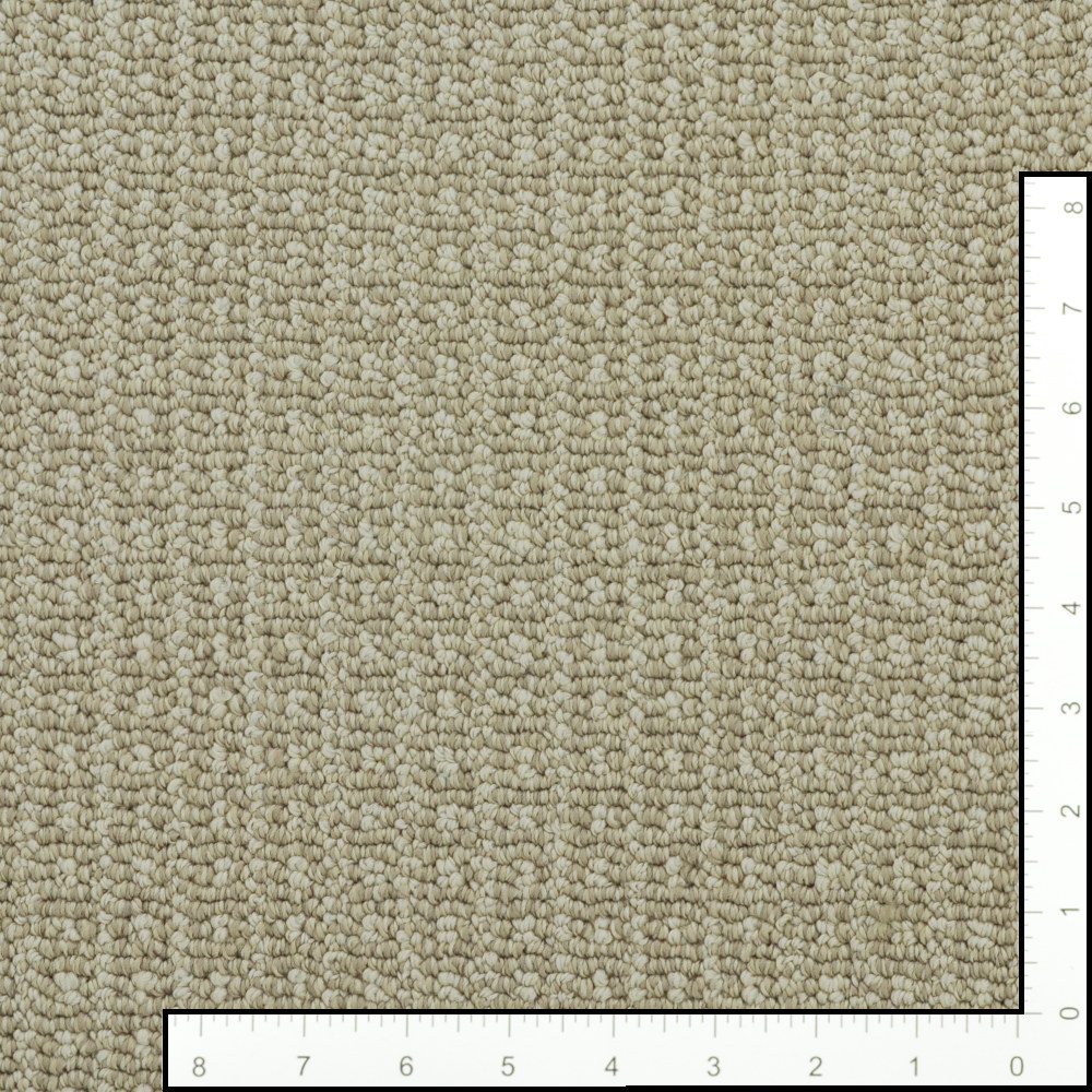 Custom Oakwood Birch Synthetic Area Rug